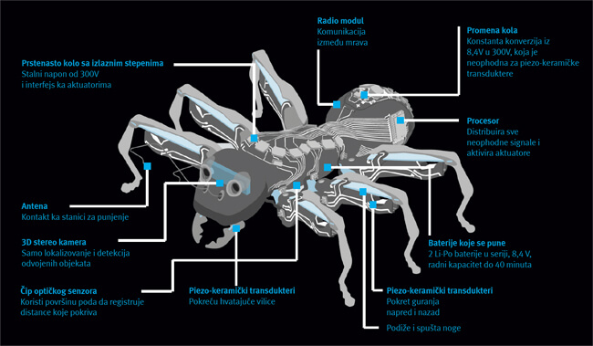 BionicANT: Komunikacija unutar tima • magazin Mehatronika
